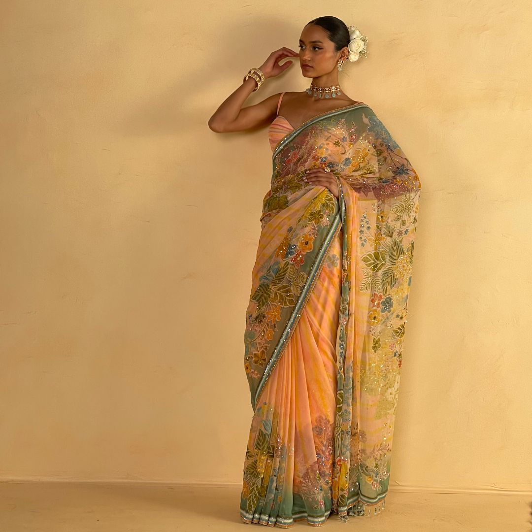 Online Saree Draping Courses - MAYURI SAREE DRAPING